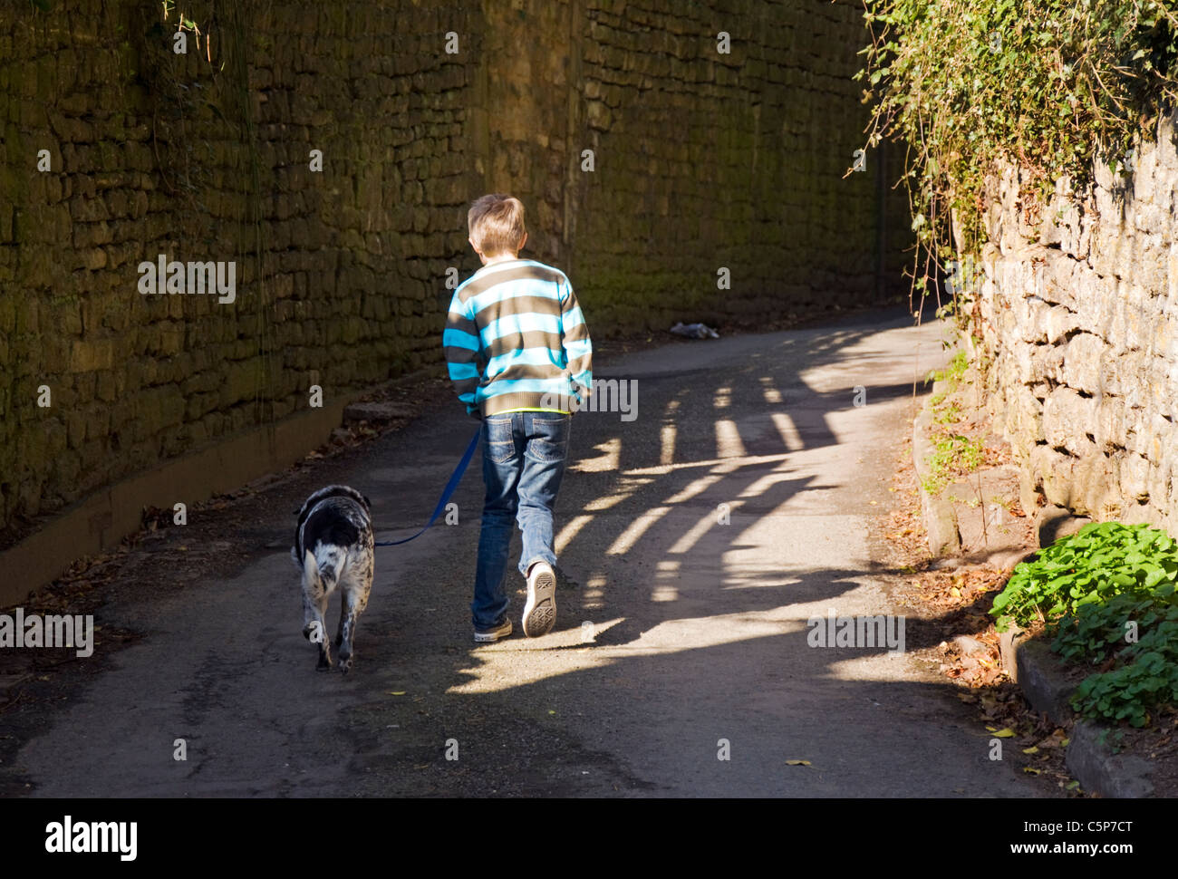 Boy walking dog Stock Photo - Alamy