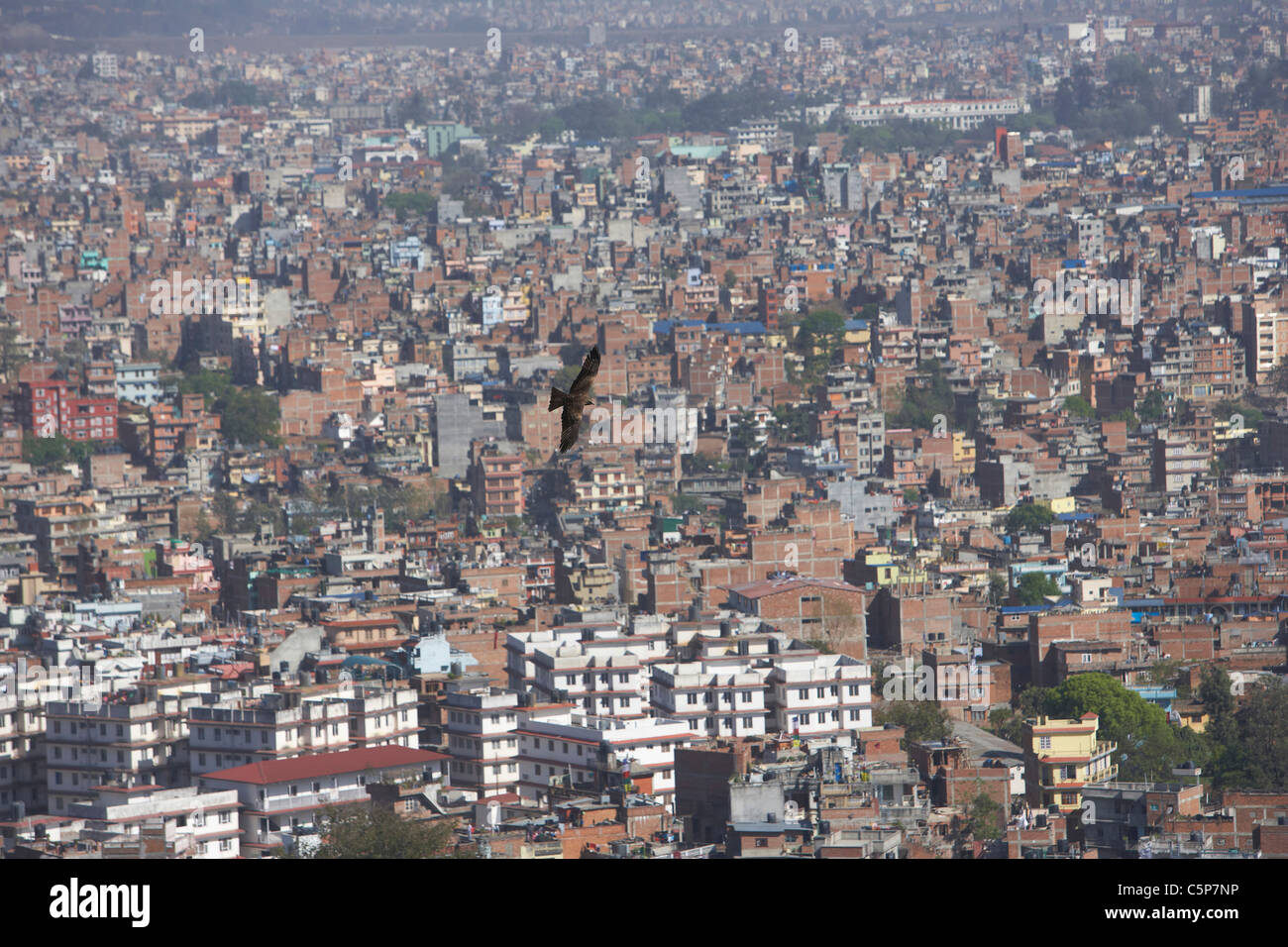 Kite flying over the urban sprawl of Kathmandu, Nepal, Asia Stock Photo ...