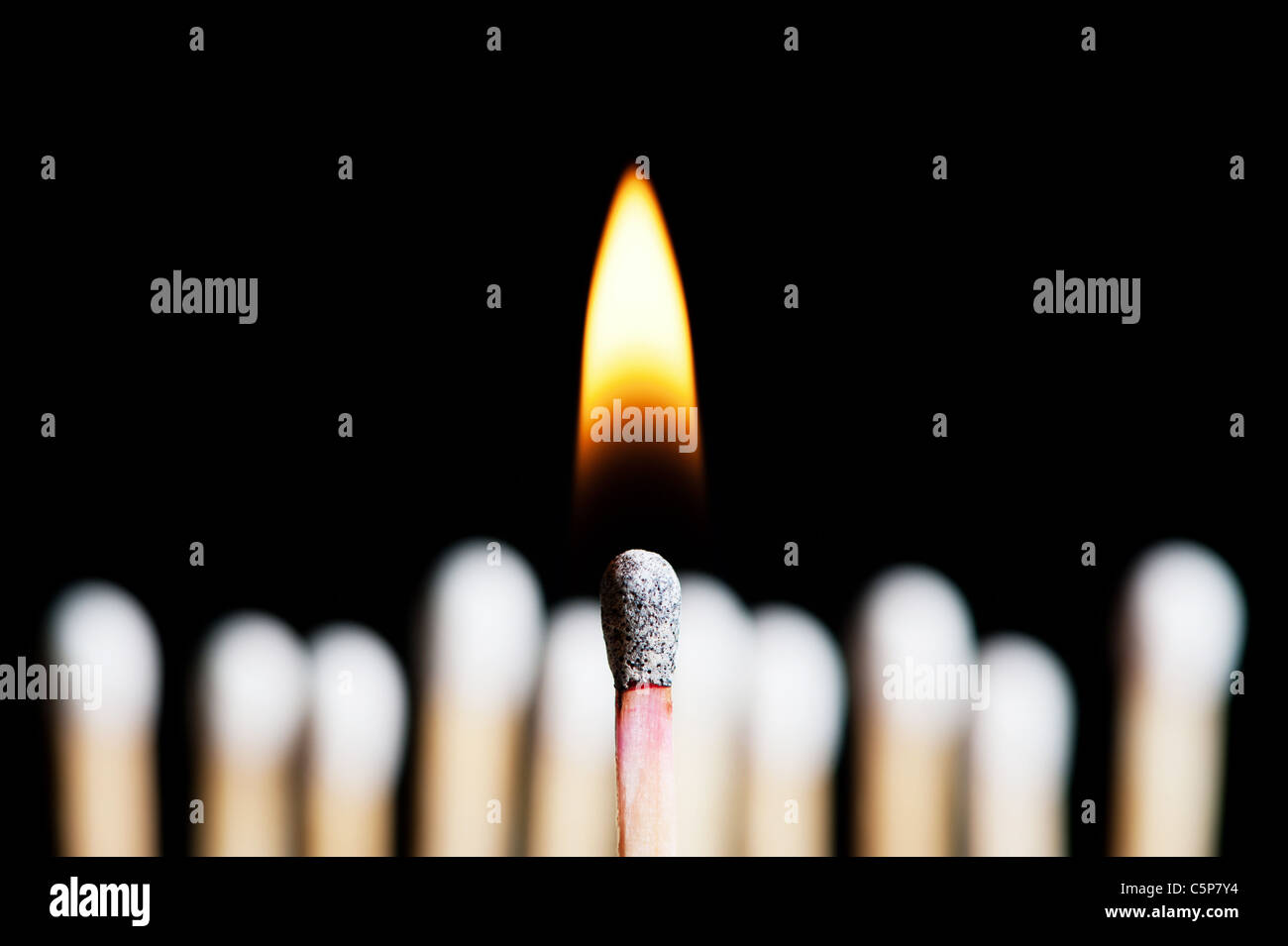 burning match in front of other matches in a row behind it, isolated on ...