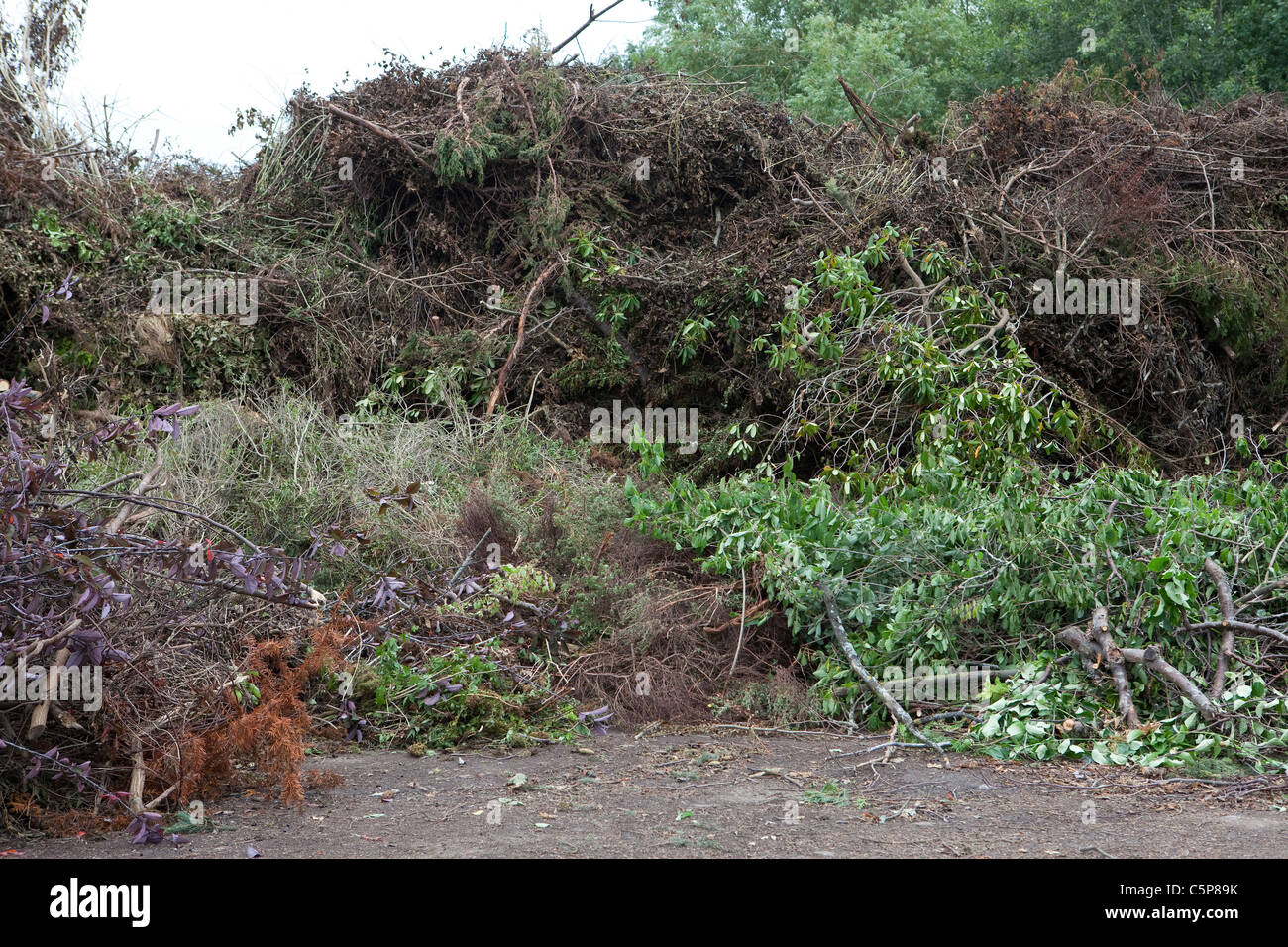 Garden waste for recycling Stock Photo - Alamy