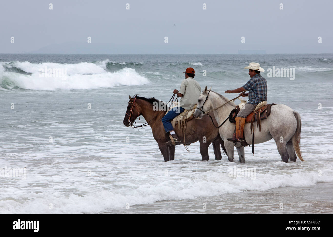 Horseback Riders on Beach at Border Field State Park Stock Photo - Alamy