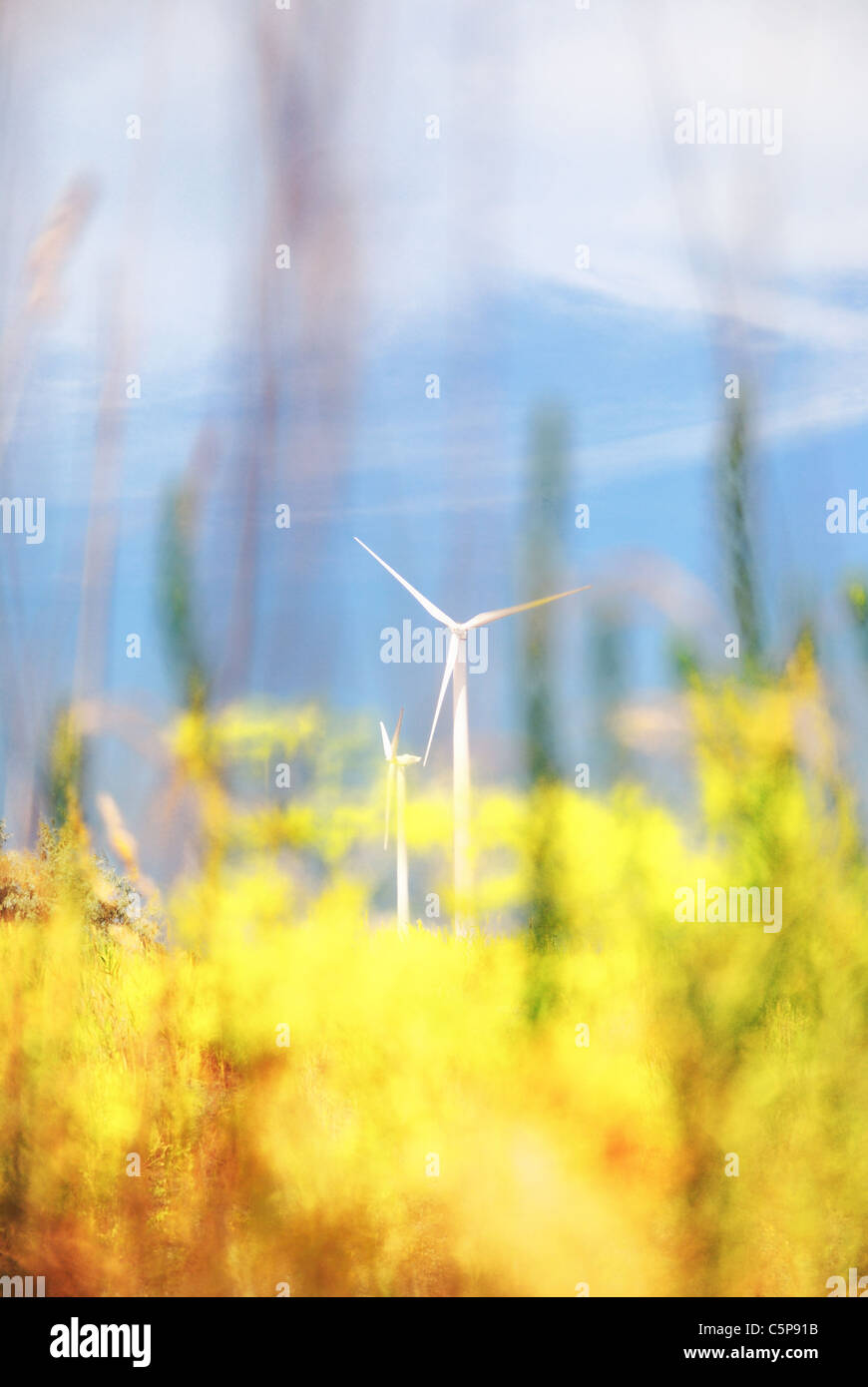 Wind turbines, Crimea, Ukraine Stock Photo - Alamy