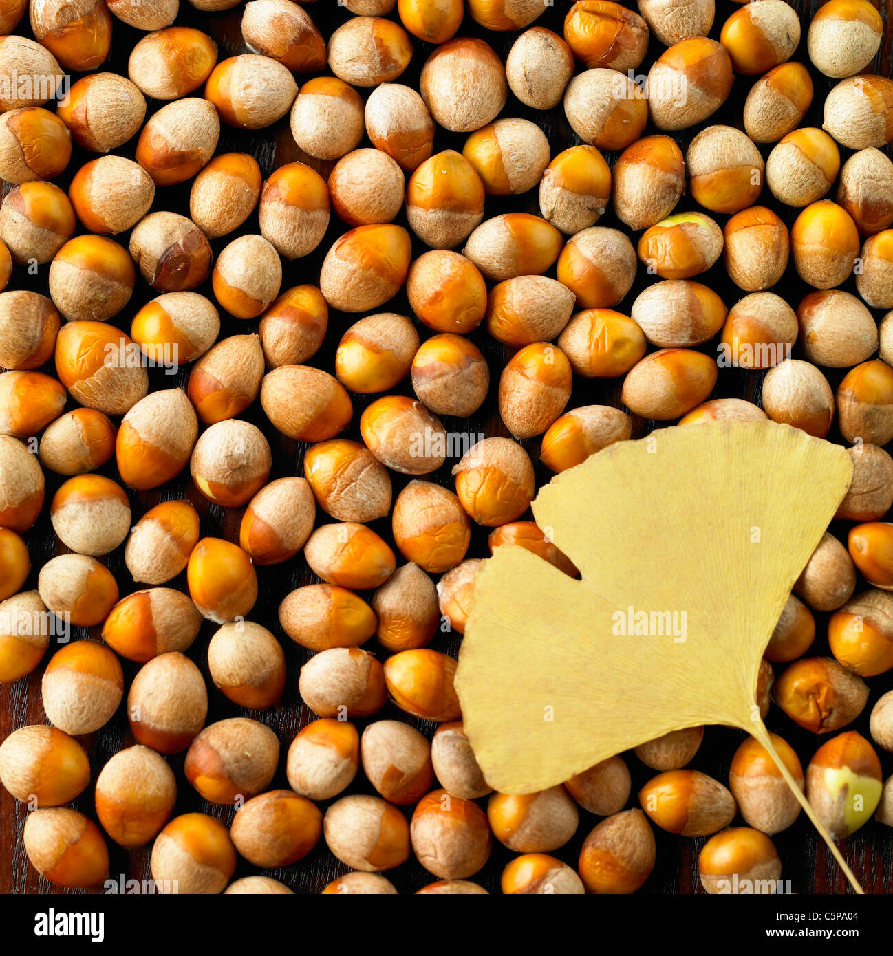 Gingko nuts and gingko leaf Stock Photo - Alamy