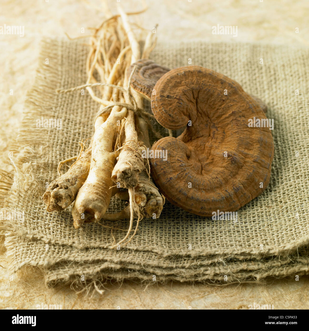 Balloon flower roots and Reish mushroom Stock Photo - Alamy