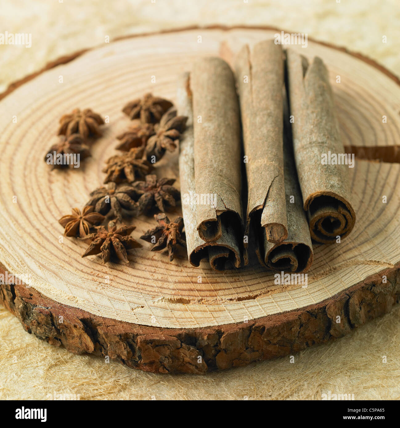 Cinnamon tree section hi-res stock photography and images - Alamy