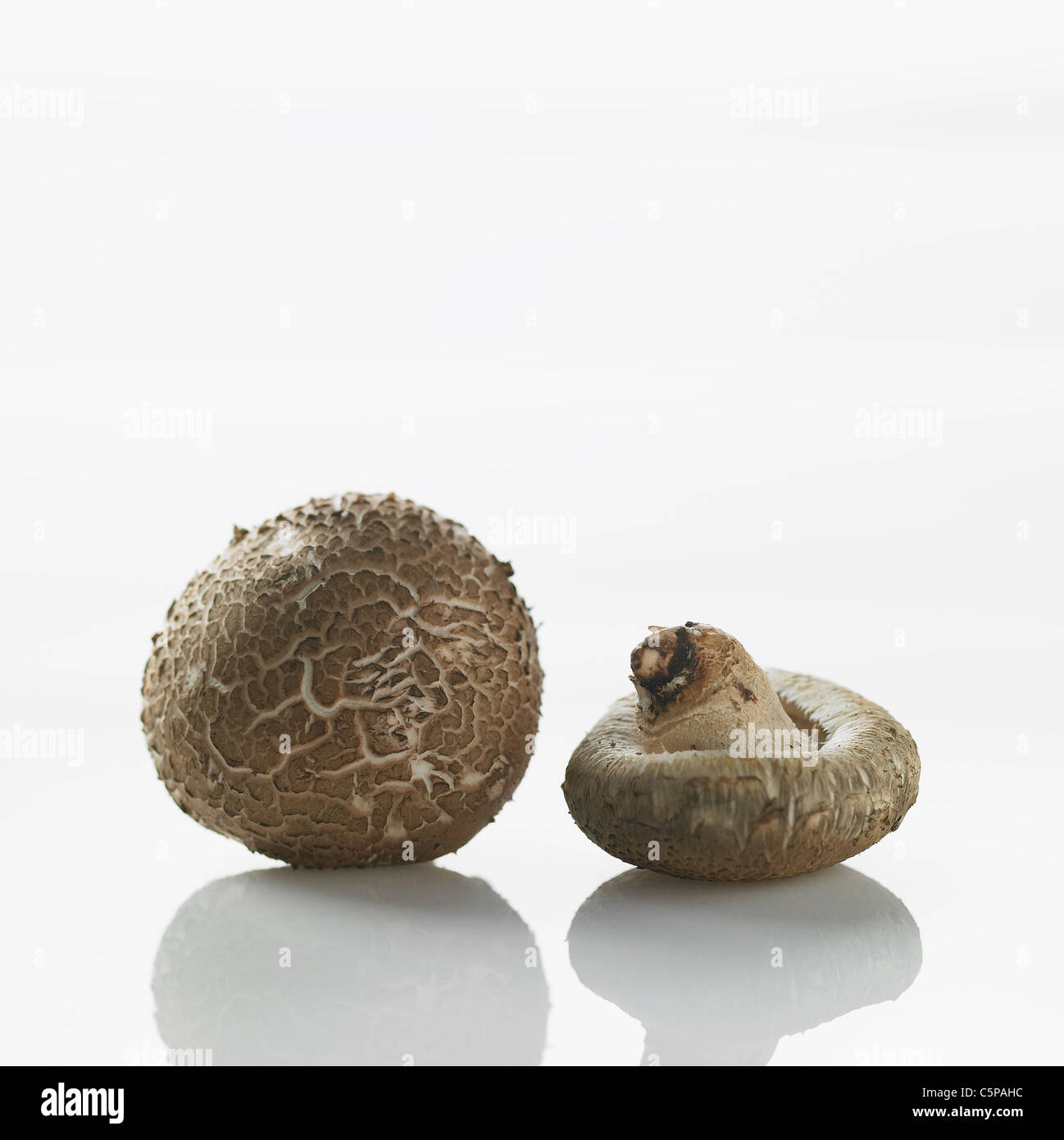 201106tong hi-res stock photography and images - Alamy