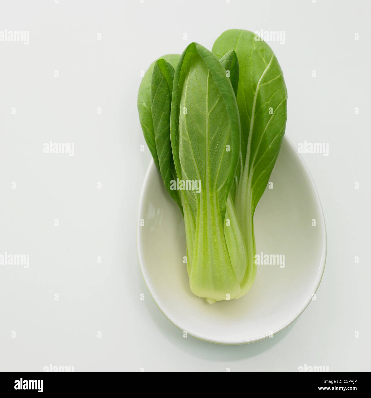 Bok hi-res stock photography and images - Alamy