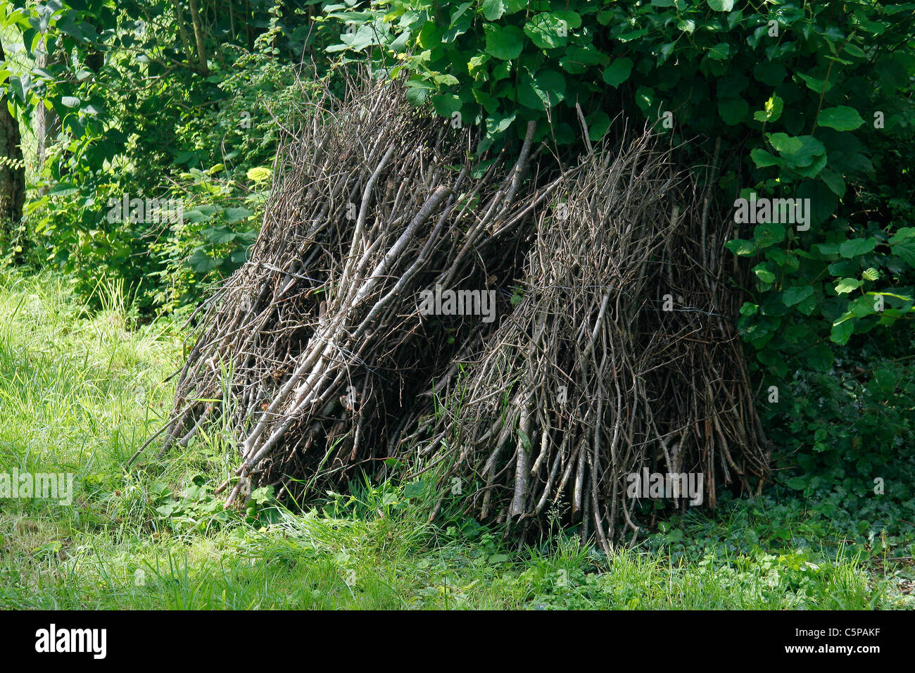 Bundles in the garden. The wood comes from the size of fruit trees ...