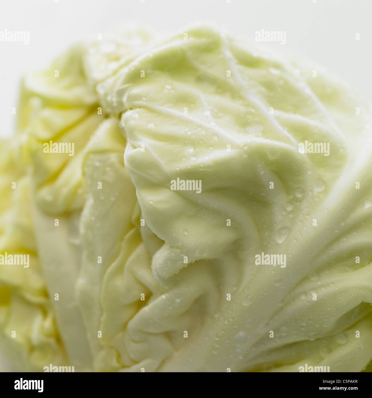 Cabbage image hi-res stock photography and images - Alamy