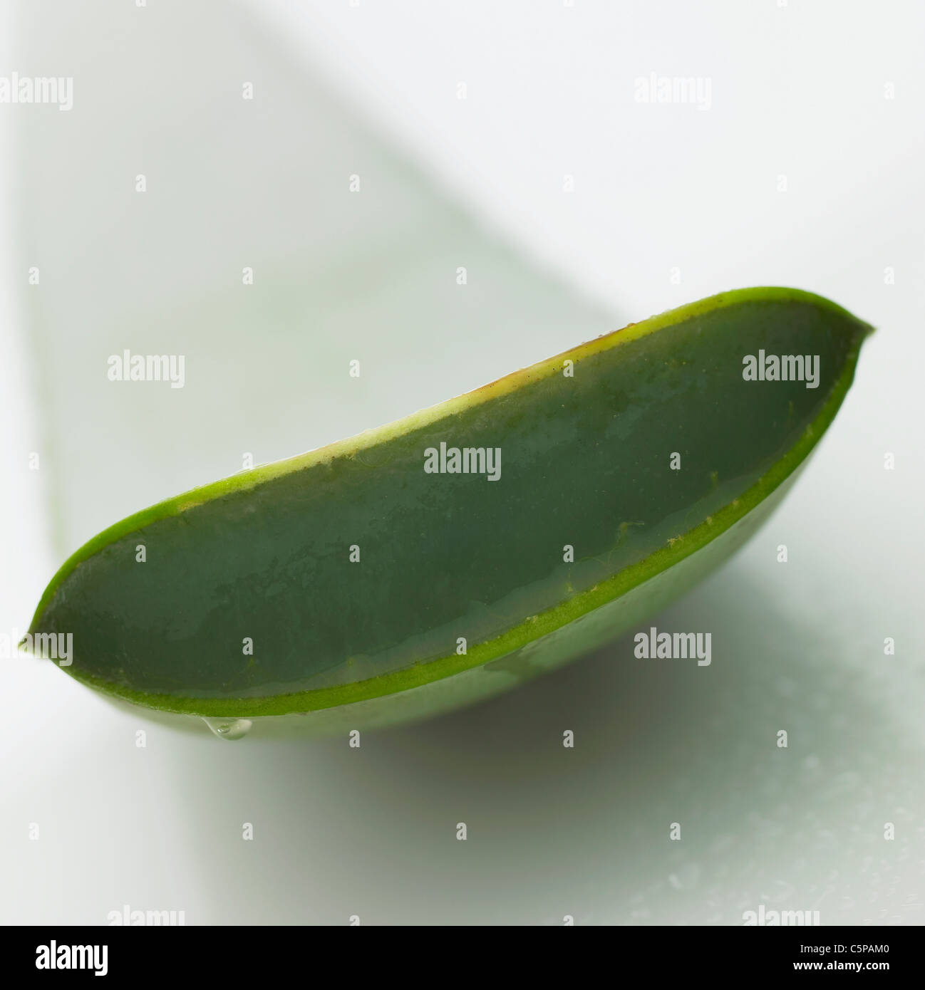 Cross section of aloe Stock Photo - Alamy