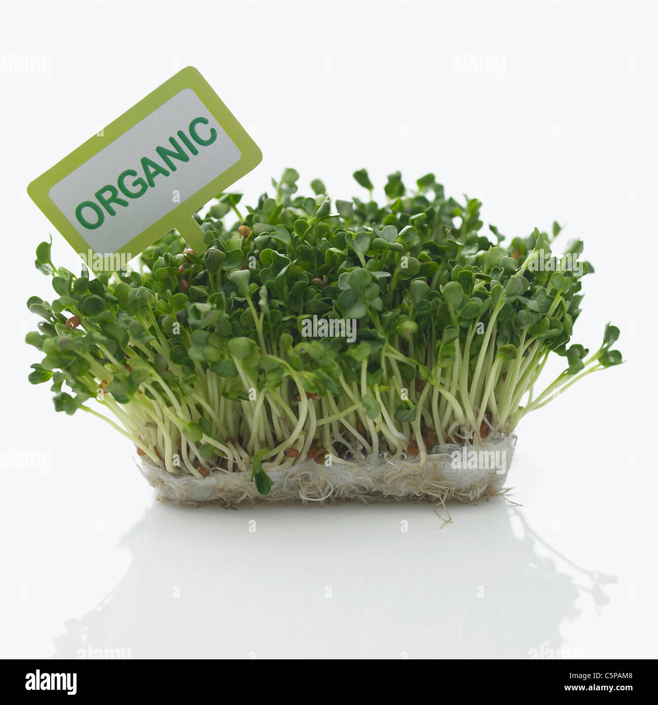 Uncooked organic sprouts hi-res stock photography and images - Alamy