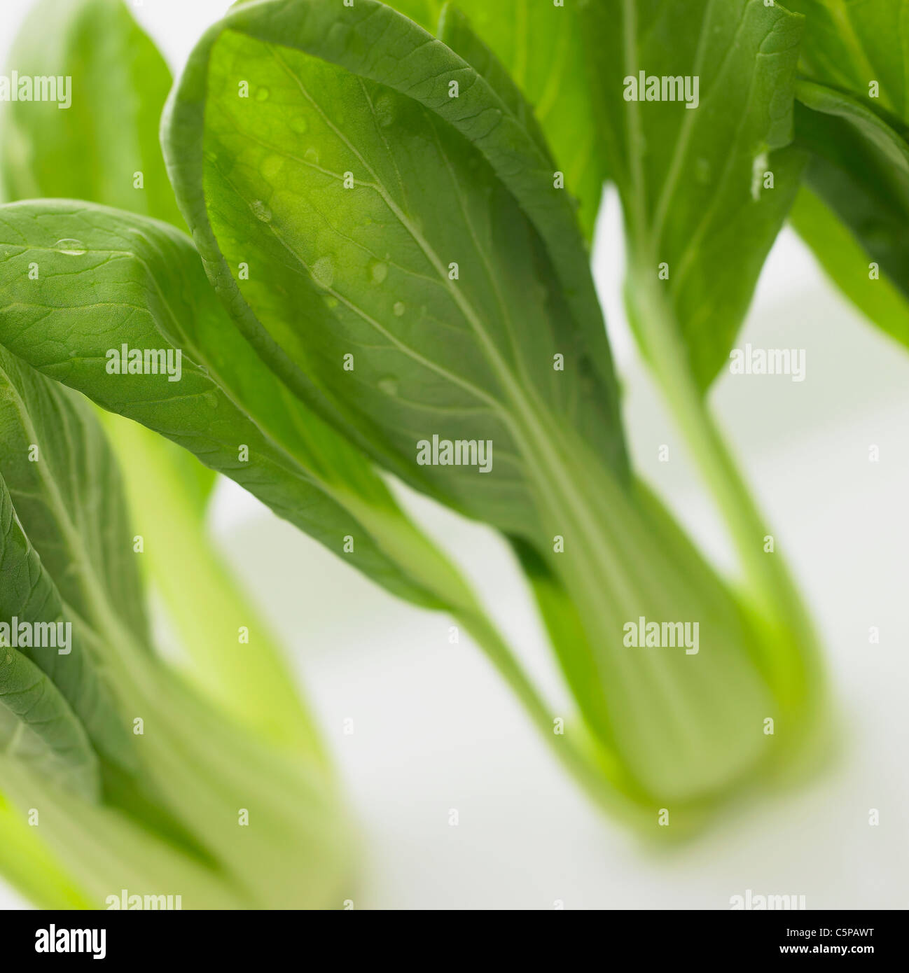 Choy hi-res stock photography and images - Alamy