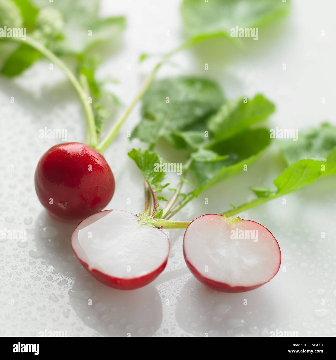 Cut radish leaves hi-res stock photography and images - Alamy
