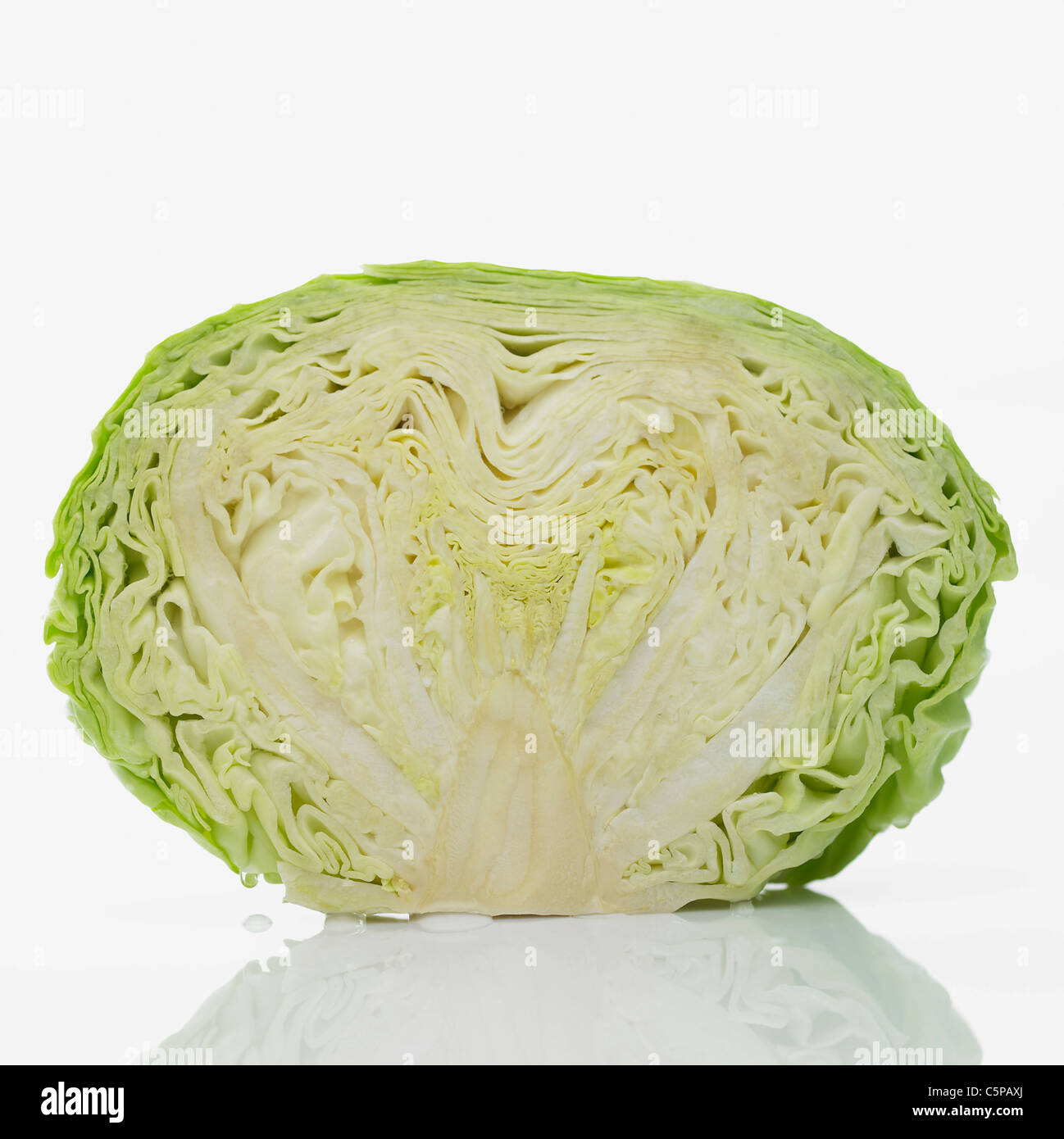 Cabbage image hi-res stock photography and images - Alamy