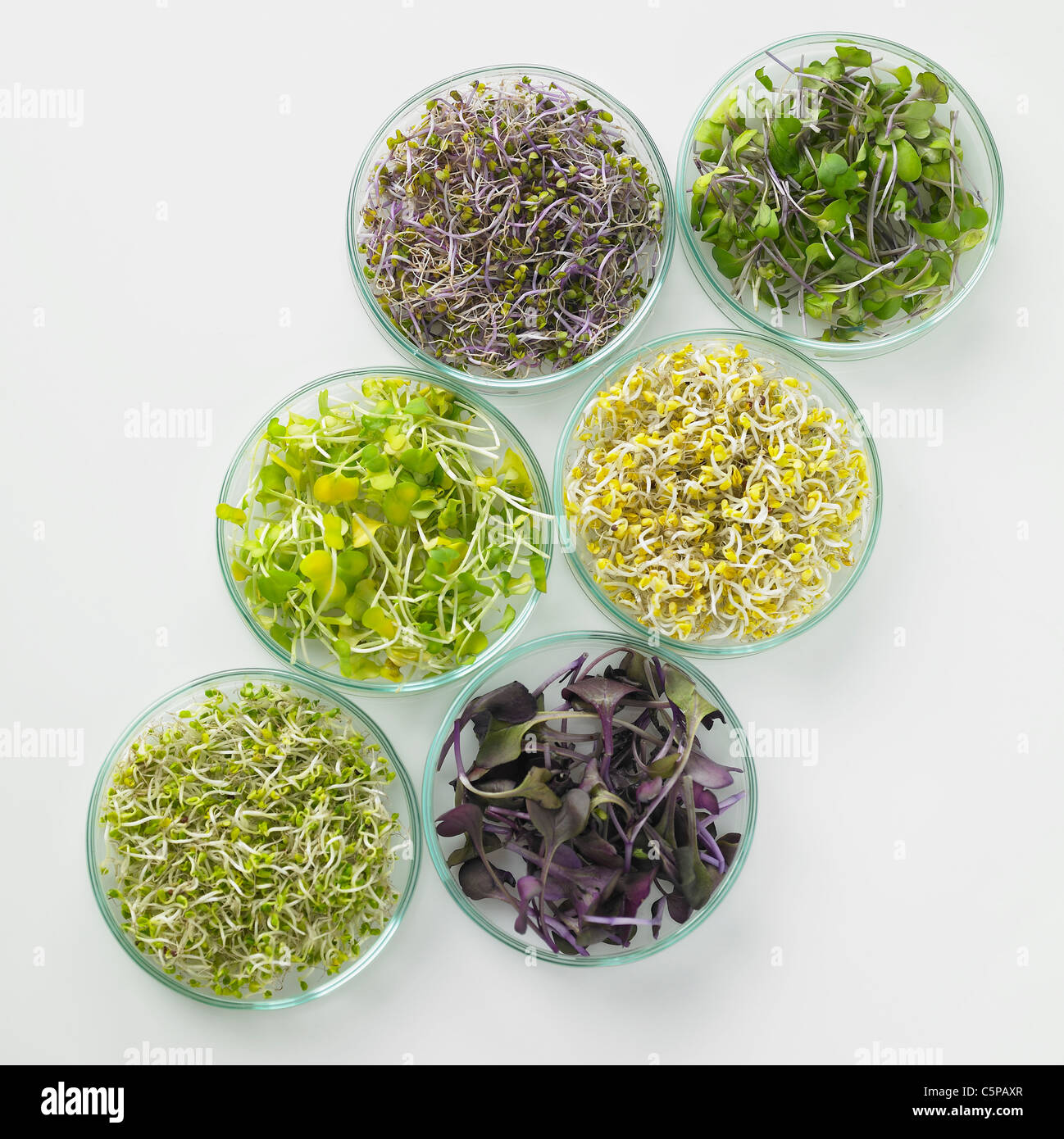 Vegetable plates hi-res stock photography and images - Alamy