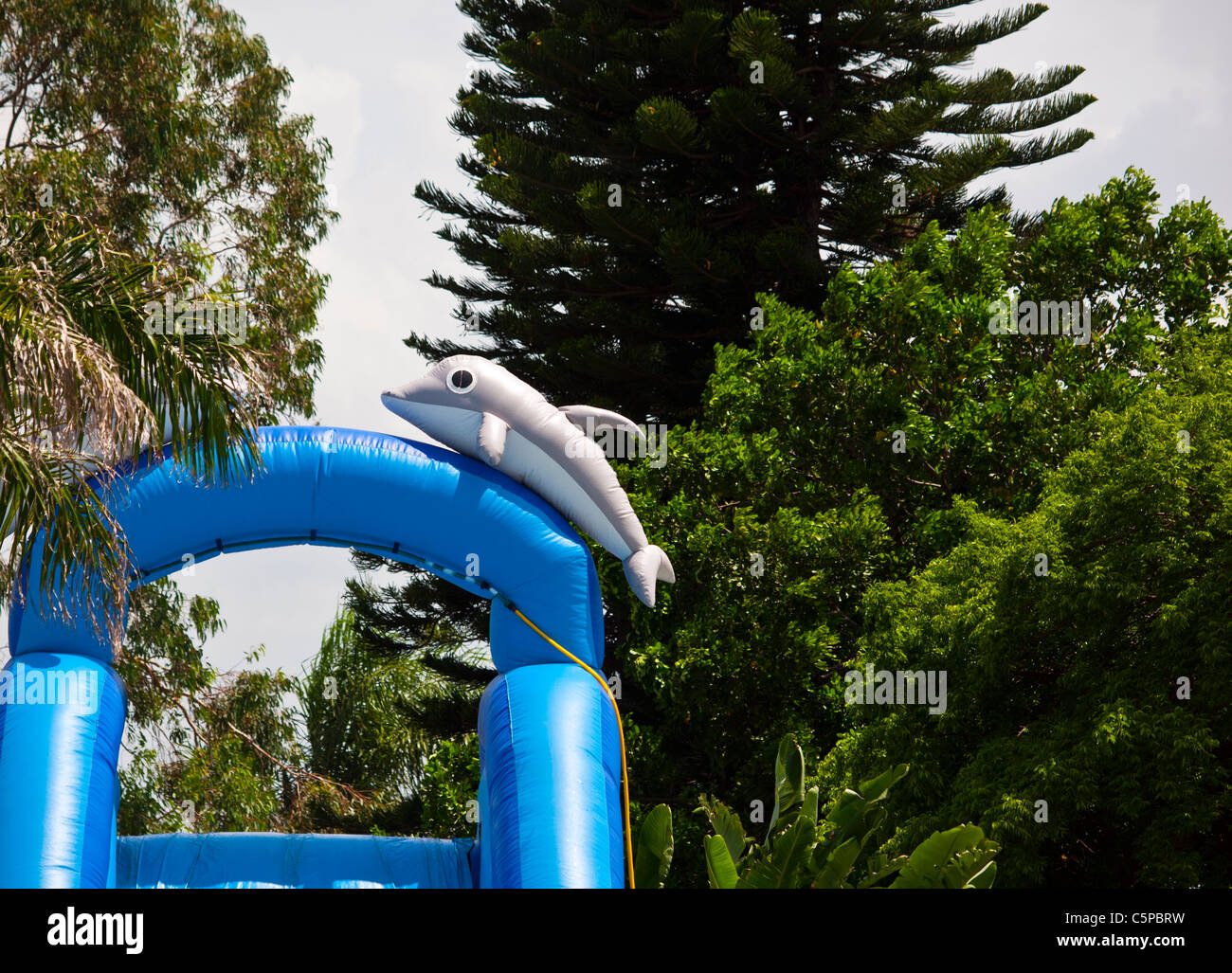 Dolphin flying in the Sky (Tursinops plasticus inflatus) on an inflated ...