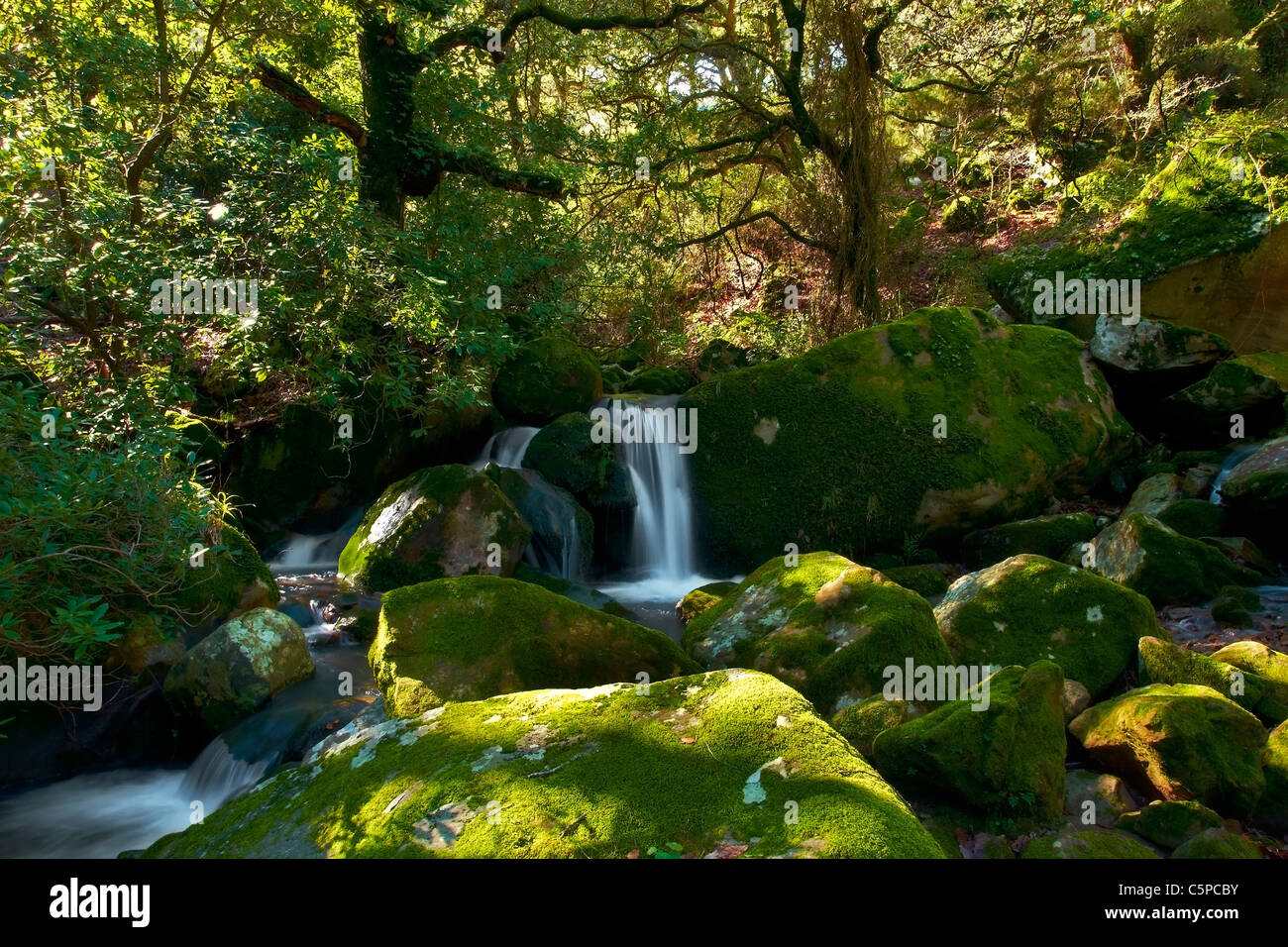 waterfalls river, cascada Los Alcornocales andalusia natural park ...