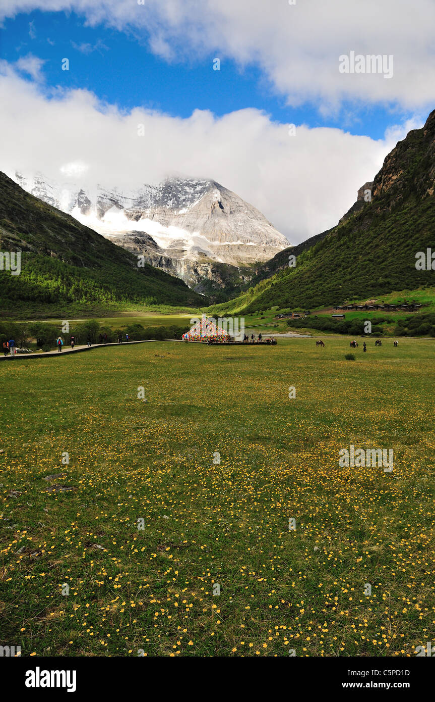 Luorong Pasture. Daocheng Yading Nature Reserve, Sichuan, China Stock ...