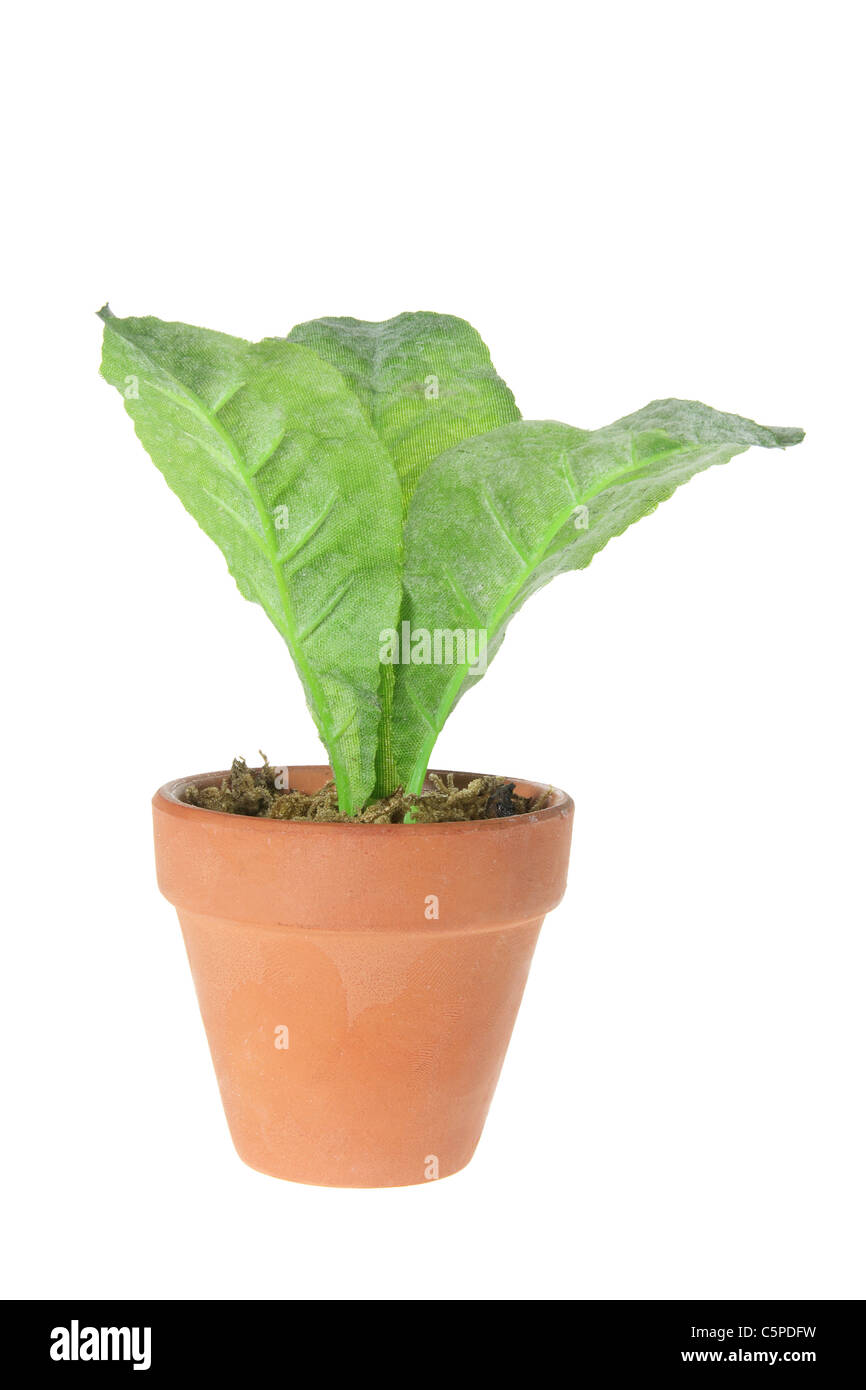 Plant pot cut out hi-res stock photography and images - Alamy