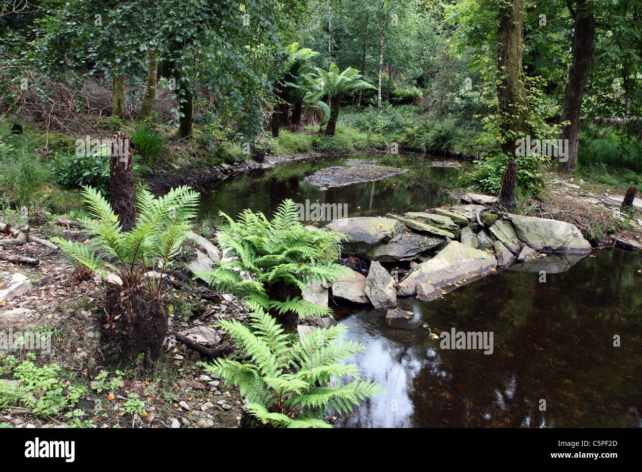 Kells bay hi-res stock photography and images - Alamy