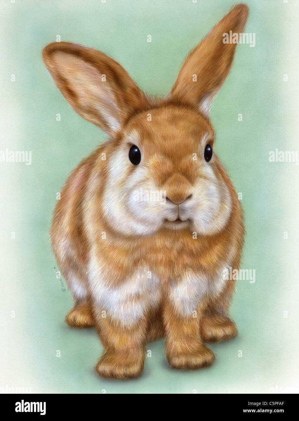 Rabbit illustrations hi-res stock photography and images - Alamy