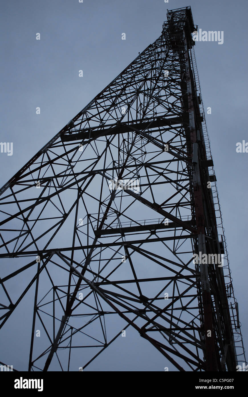 Electrical tower cables bird hi-res stock photography and images - Alamy