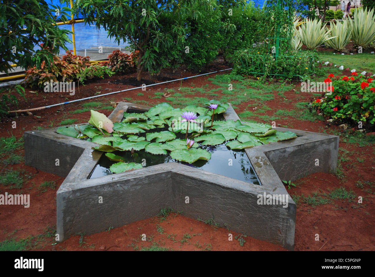 Blue lotus hi-res stock photography and images - Alamy
