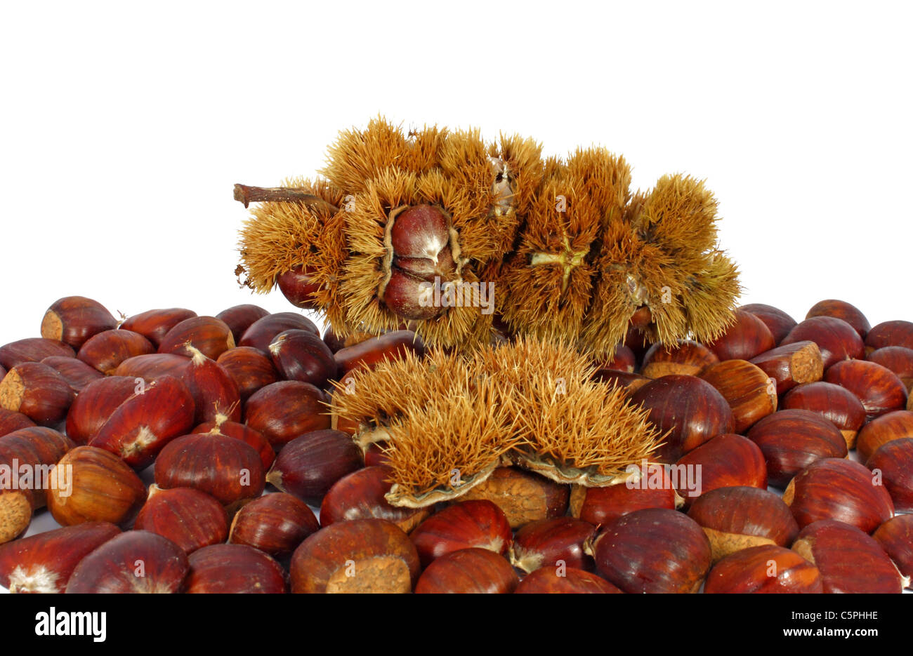 Chestnuts inside husk on heap of chestnuts Stock Photo - Alamy