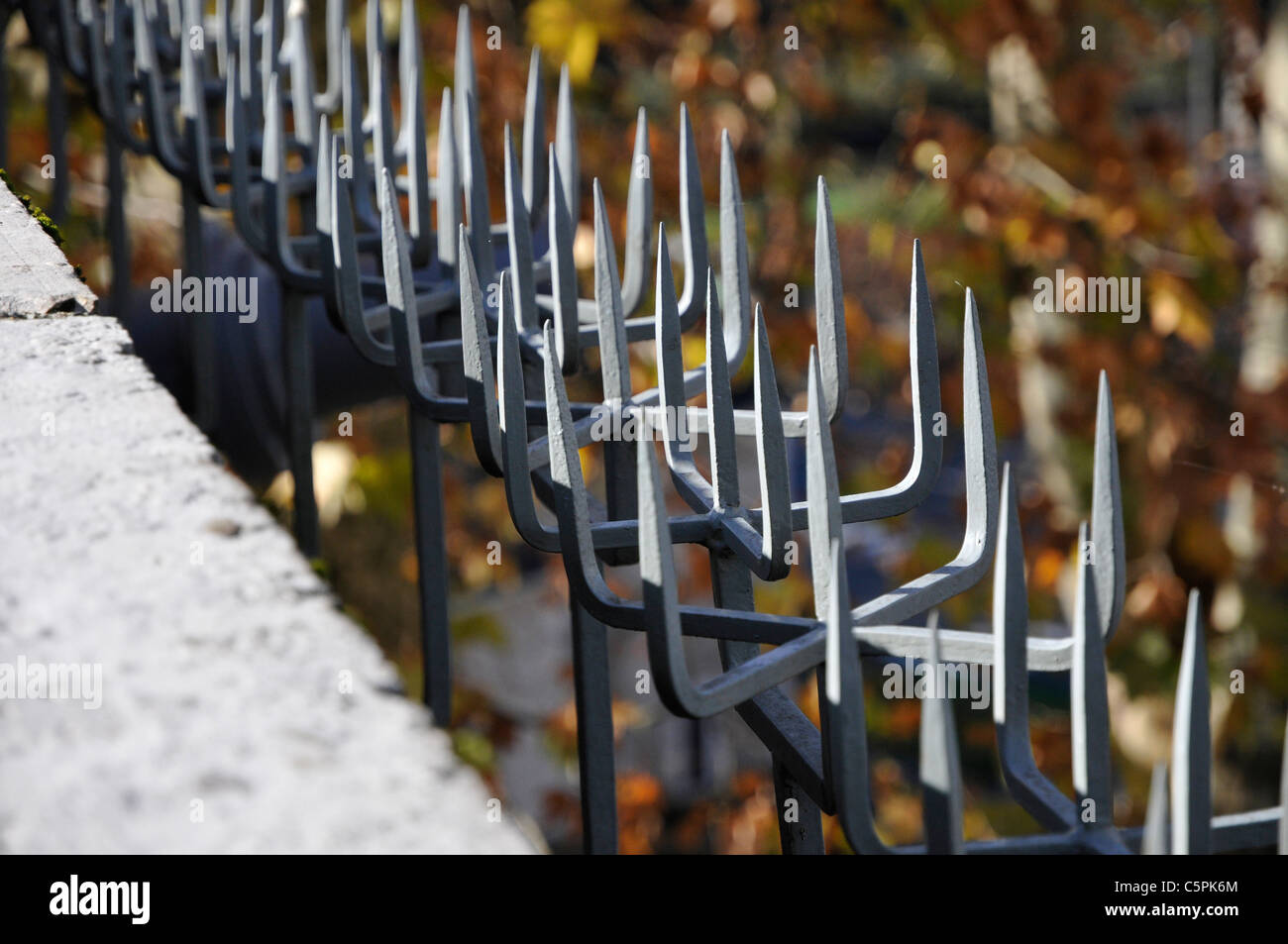 Glowed hi-res stock photography and images - Alamy