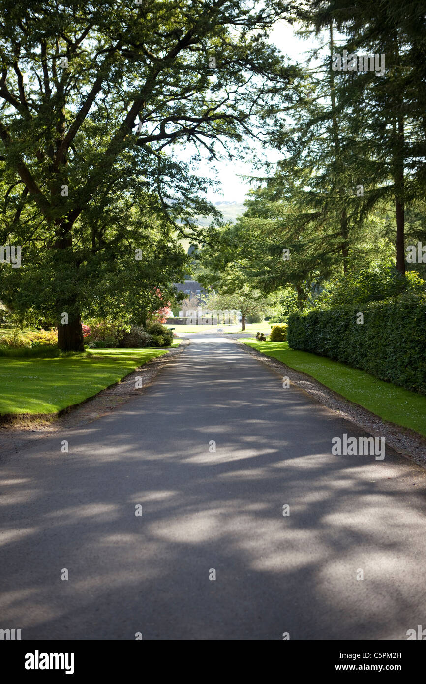 Drive way and path surrounded by trees Stock Photo - Alamy