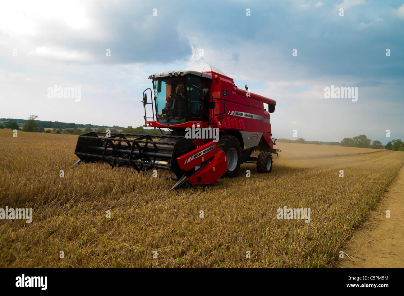 A combine harvester harvesting barley Hordeum vulgare in Essex Stock ...
