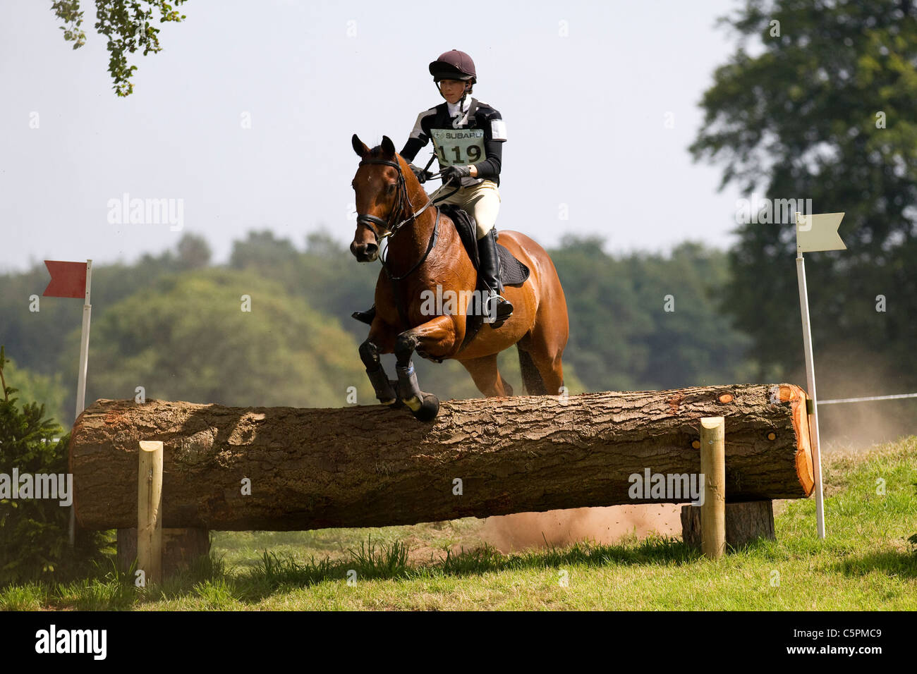 Rider 119; Horse & rider at cross-country horse trails; agility test ...