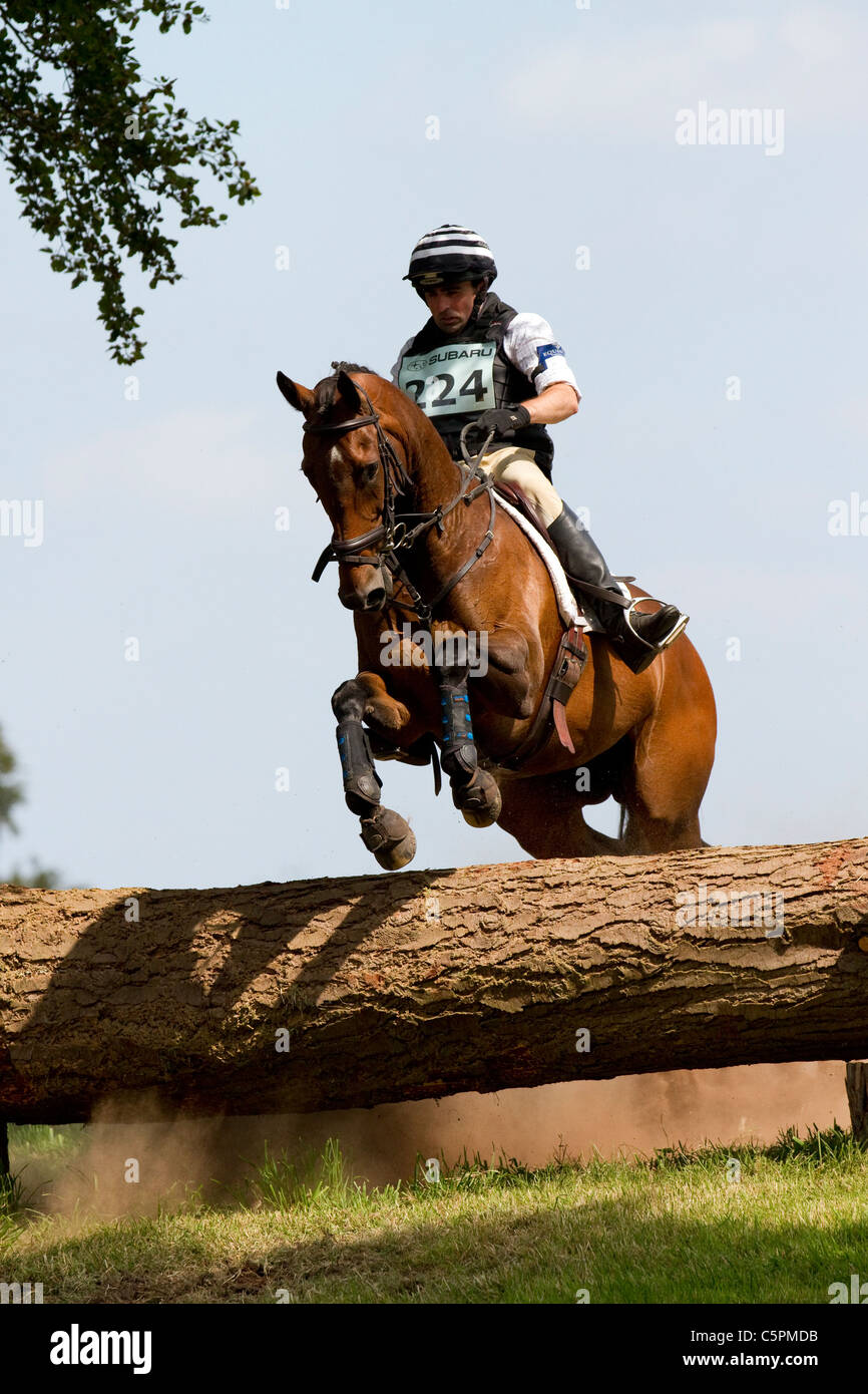 Horse & rider at cross-country horse trails; agility test, competitive ...