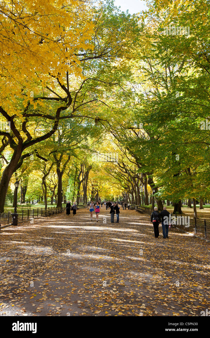 People walking in the Central Park Mall under fall colored trees ...