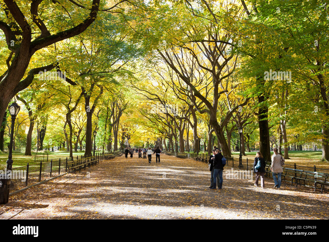 Central park mall hi-res stock photography and images - Alamy