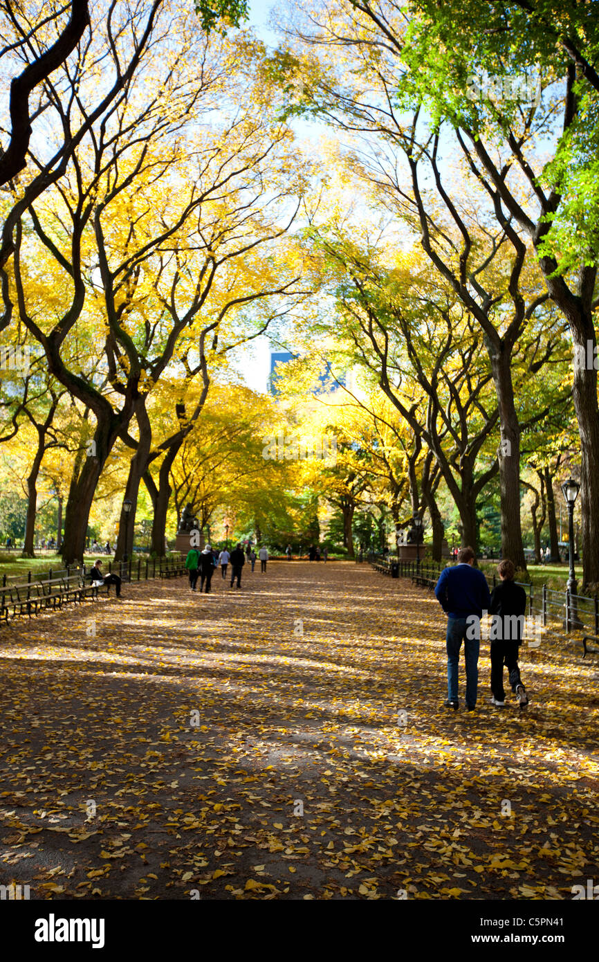 Central park mall hi-res stock photography and images - Alamy