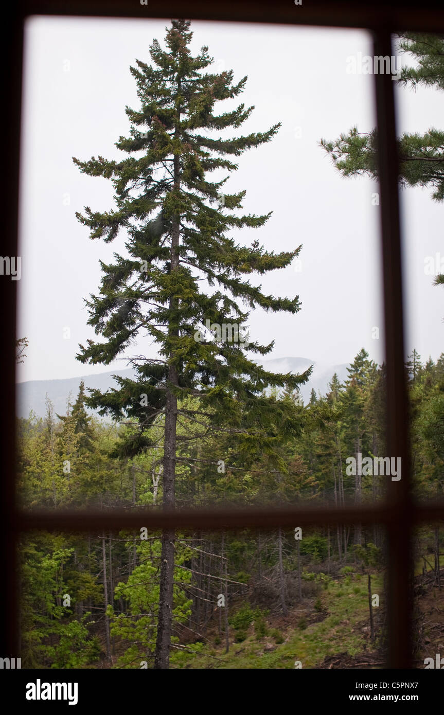The view through a cabin window across the forested landscape of Mount ...