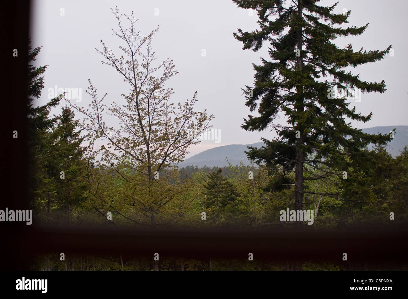 The view through a cabin window across the forested landscape of Mount ...