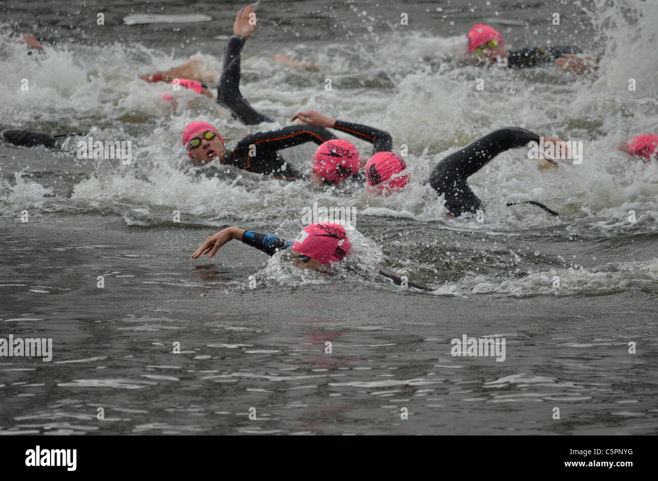 Swimmers in Triathlon Stock Photo - Alamy