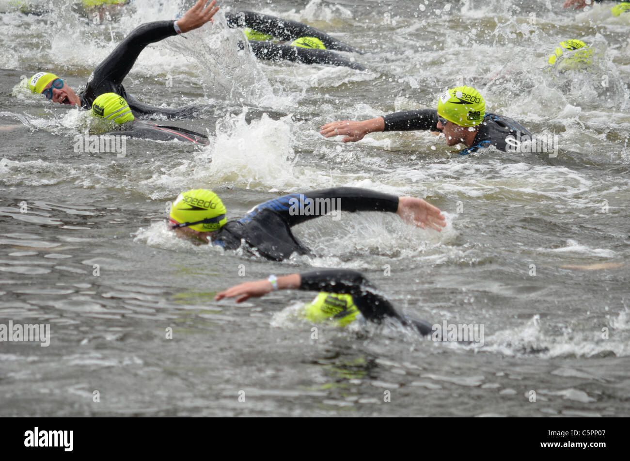 Swimmers in Triathlon Stock Photo - Alamy