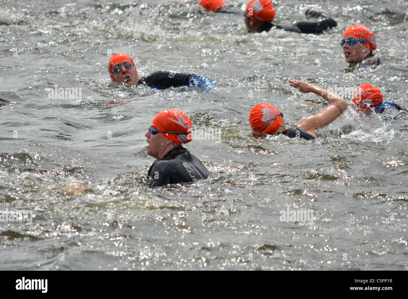 Swimmers in Triathlon Stock Photo - Alamy