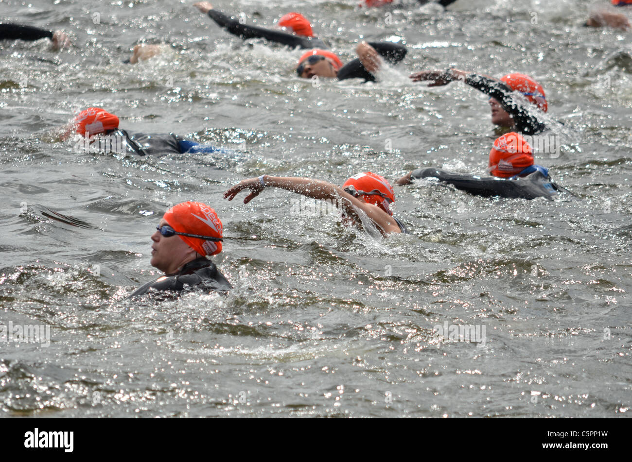 Swimmers in Triathlon Stock Photo - Alamy