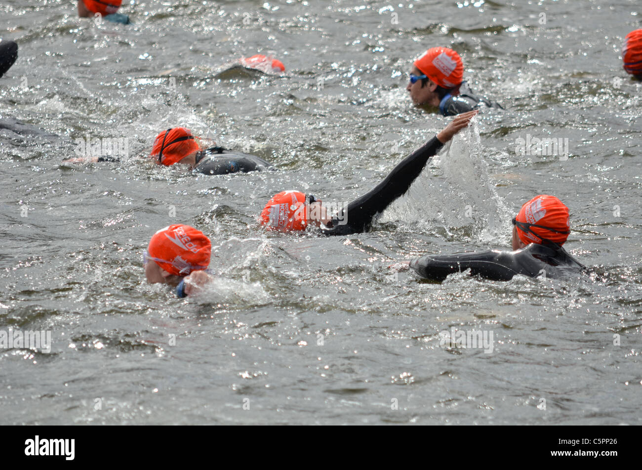 Swimmers in Triathlon Stock Photo - Alamy