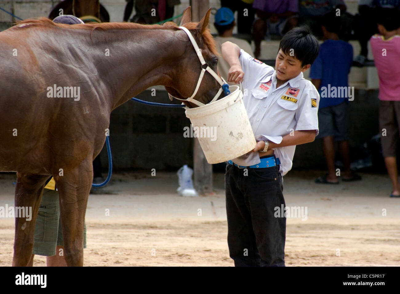 A young Thai man is holding a bucket of drinking water for a racehorse ...