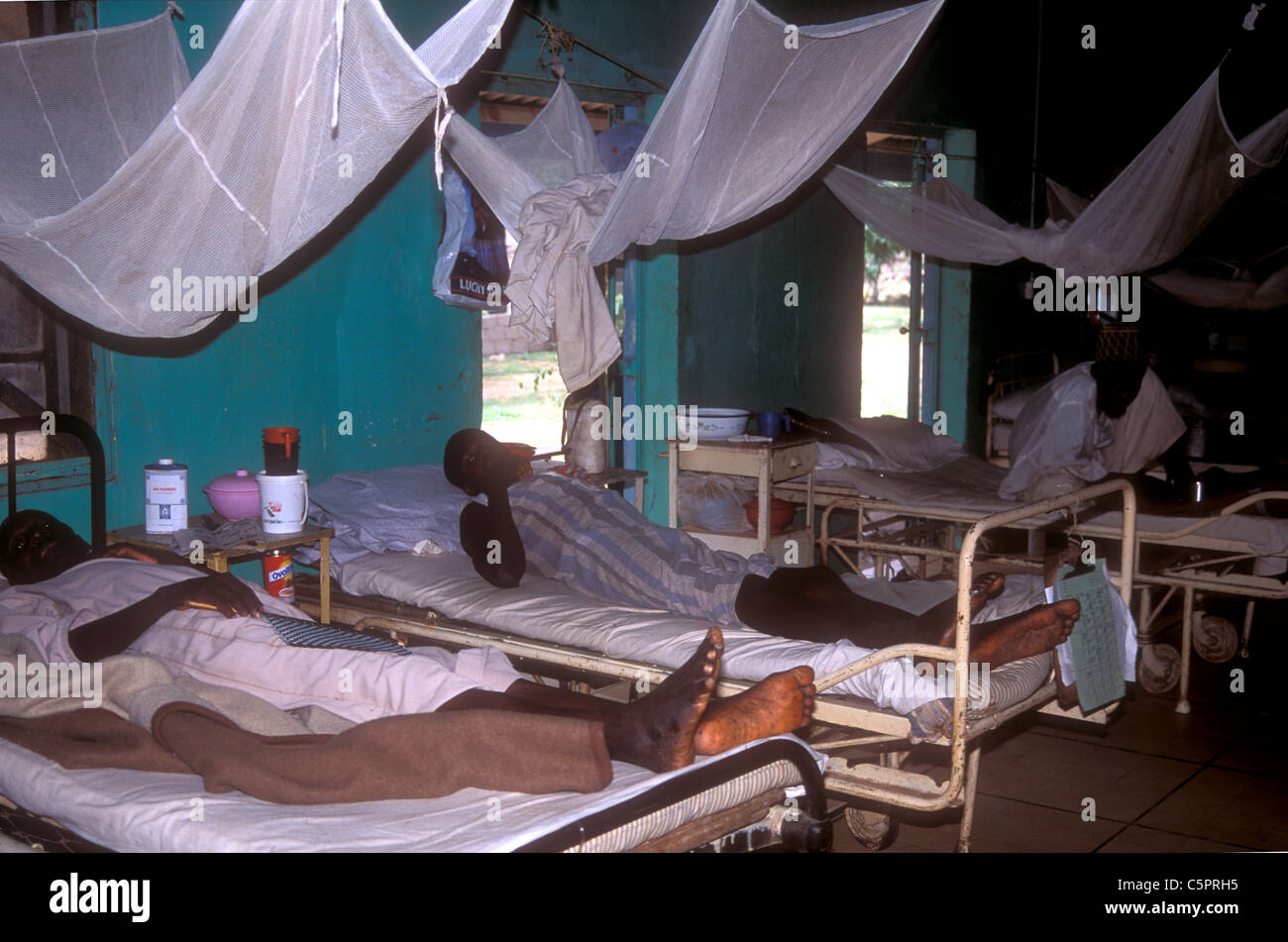 African patients suffering from malaria in a rural hospital with ...