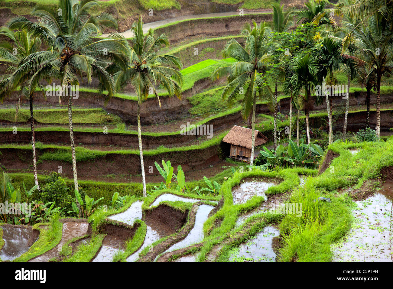 Water bali hi-res stock photography and images - Alamy