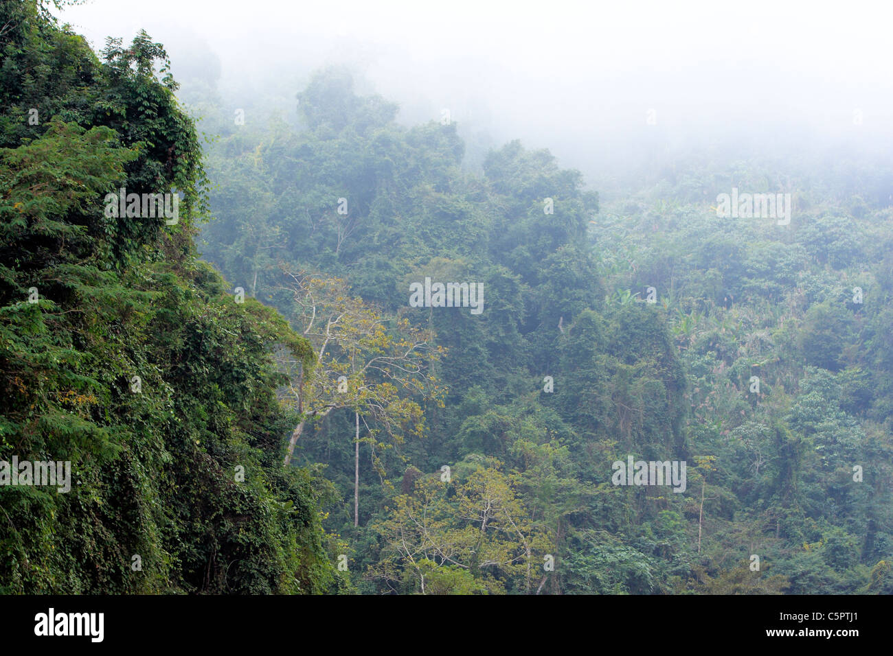 Mekong River, Laos Stock Photo - Alamy