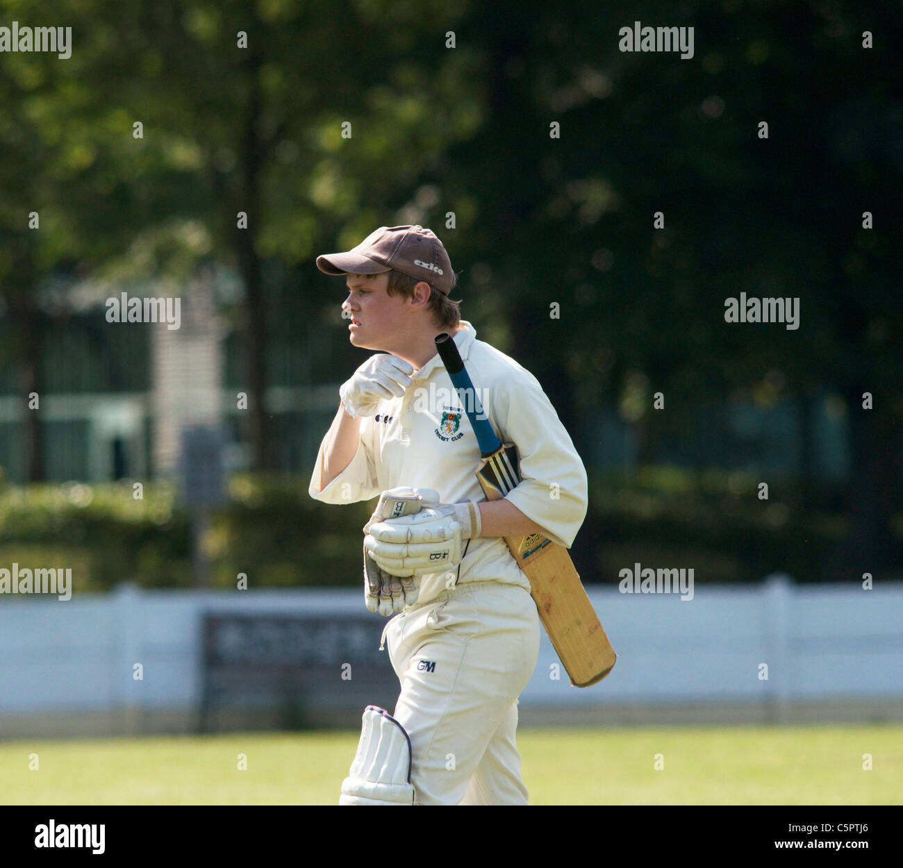 batsman returns to the pavilion after being given out Stock Photo - Alamy