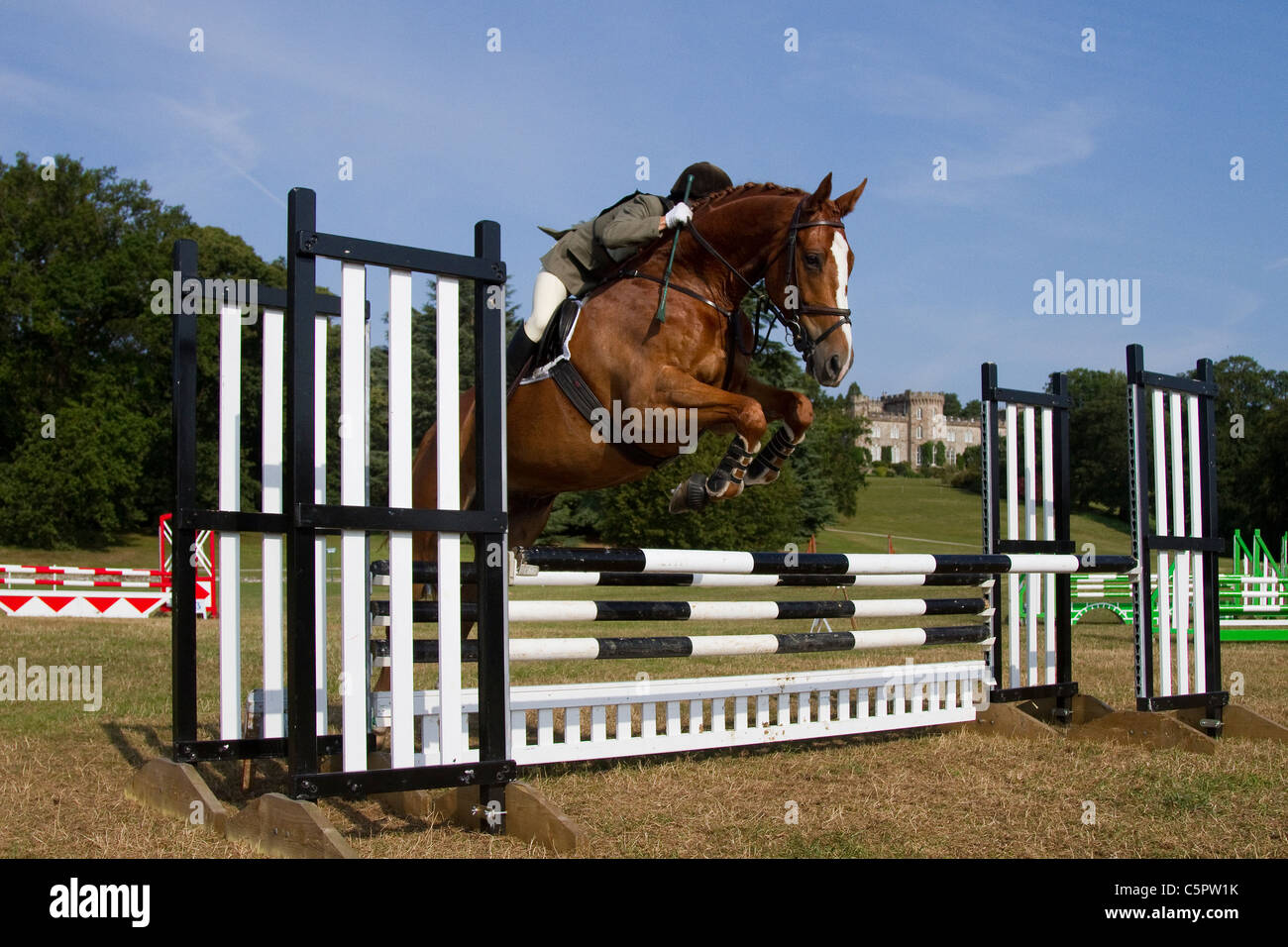 Horse & rider at cross-country horse trails; agility test, competitive ...