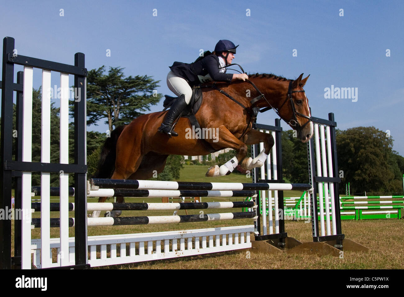 Horse & rider at cross-country horse trails; agility test, competitive ...